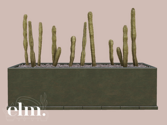 Second Life Marketplace - Elm. Viola Cacti Planters [Juniper]