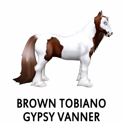 Second Life Marketplace - 12TF Tobiano Gyp Van/ Water Element