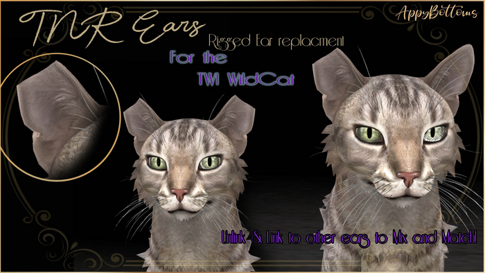 Second Life Marketplace - :AppyBottoms: TWIWildCat- TNR Ears