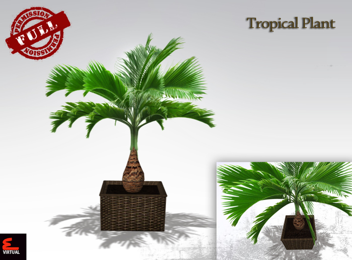 Second Life Marketplace - Full Perm Tropical Plants - Palm Tree - Fern ...