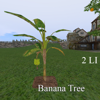 Second Life Marketplace - DP Banana Tree 2.5