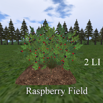 Second Life Marketplace - DP Raspberry Field 2.5