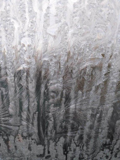 Second Life Marketplace - 812 - Winter - Window Frost - Ice Flowers ...