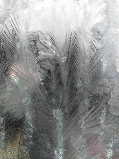 Second Life Marketplace - 813 - Winter - Window Frost - Ice Flowers ...