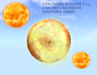 Second Life Marketplace - Sun Super Massive Star V 1.4 by Zakard