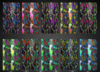 Second Life Marketplace - Alien Scribbles Nail Texture Hud ONLY "BOXED"