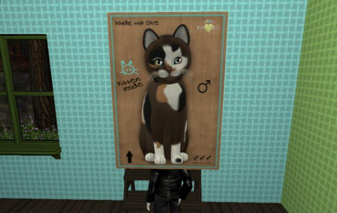 Second Life Marketplace - New Born Male Kitten - Genesis Patch ll - Boxed