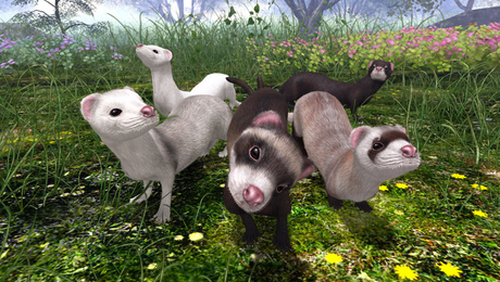 Second Life Marketplace - JIAN Pets Ferret / Sable Mitt