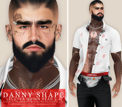 Second Life Marketplace - [MR] Danny Shape for LeLUTKA Quinn Head 3.1 ...