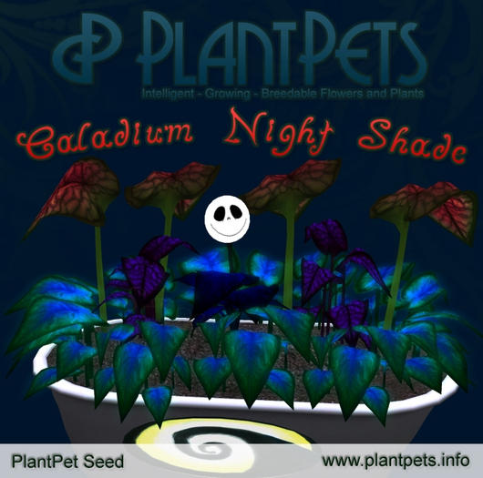 Second Life Marketplace - PlantPet Seed [Caladium *Night Shade*] LIMITED