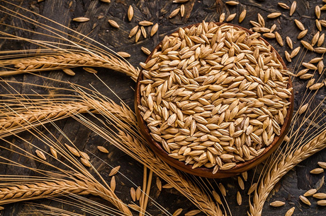 Second Life Marketplace - DFS Cleaned Barley (ACTUAL ITEM)