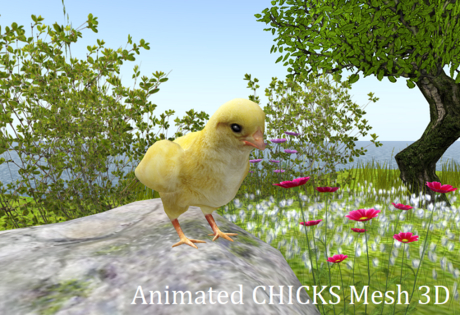 Second Life Marketplace - PS - ANIMALS - Chick garden 10x10