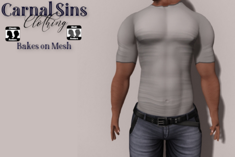 Second Life Marketplace - {CS} Tops - Damion White