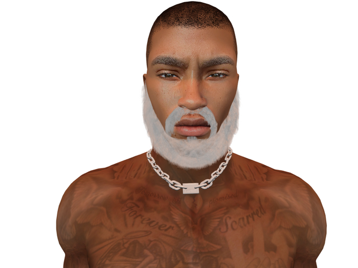 Second Life Marketplace - Hollyhood Hair - Tintable Daddy Beard