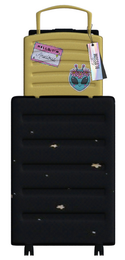 Second Life Marketplace - Blossom// #18 Pattern - Harper Suitcase