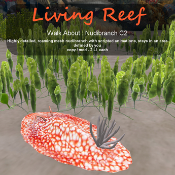 Second Life Marketplace - Inochi Reef - WA - Nudibranch C2