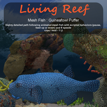 Second Life Marketplace - Inochi Reef : Mesh Fish - Guineafowl Puffer