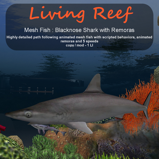 Second Life Marketplace - Inochi Reef : Mesh Fish - Blacknose Shark W ...
