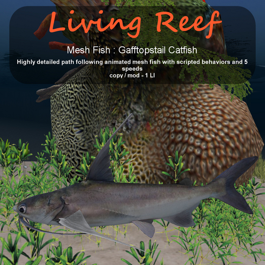 Second Life Marketplace - Inochi Reef : Mesh Fish - Gafftopstail Catfish