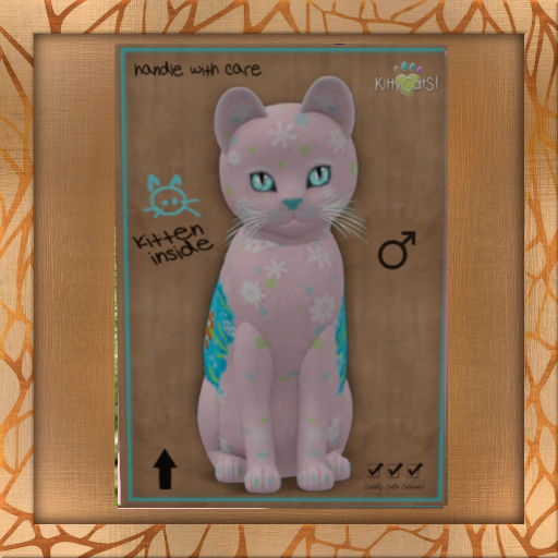 Second Life Marketplace - KittyCatS Box - New Born Kitten ♂