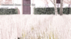 Second Life Marketplace - - Legna - Comatosed Grass (Winter Set) Wear Me
