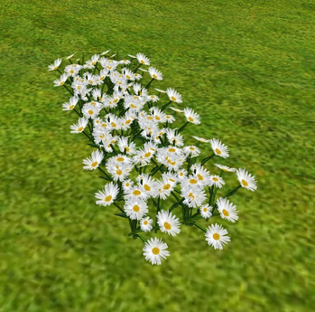 Second Life Marketplace - mesh daisy pack