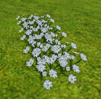 Second Life Marketplace - mesh daisy pack