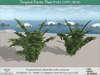 Second Life Marketplace - Tropical Exotic Plant - 2 vers C/M P-013