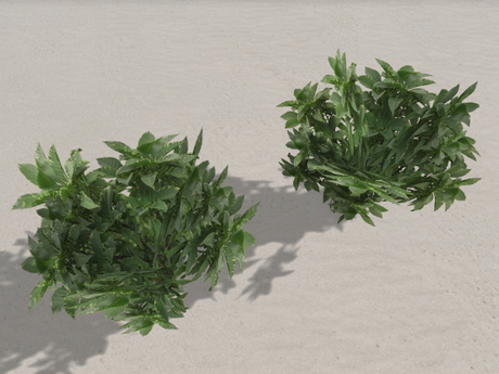 Second Life Marketplace - Tropical Exotic Plant - 2 vers C/M P-013