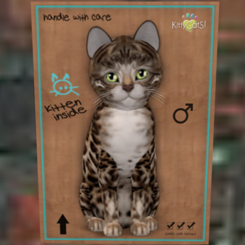 Second Life Marketplace - KittyCatS Box 52