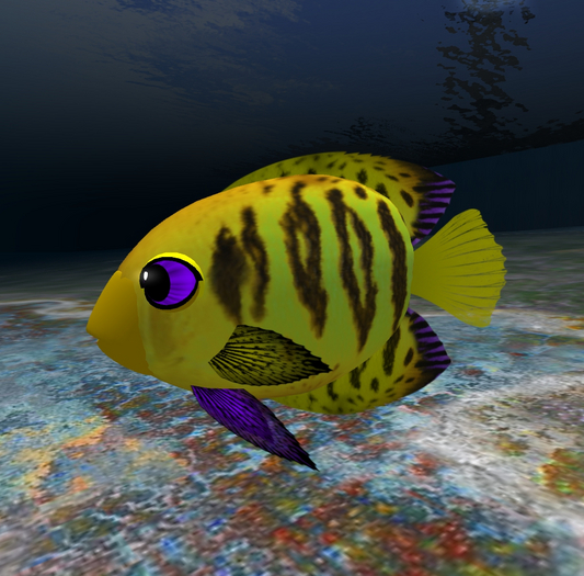 Second Life Marketplace - (7S) Common Fish: Mama Flame Angel Yellow