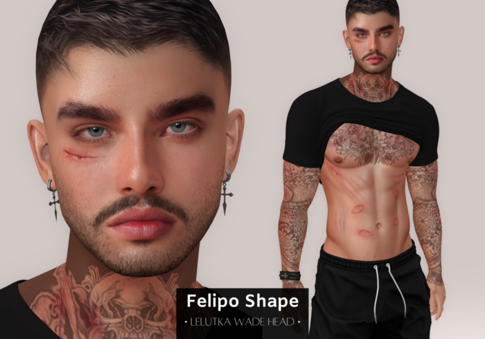 Second Life Marketplace - [Stanley] Felipo Shape Wade - Lelutka Wade ...