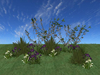 Second Life Marketplace - **The Low Prim Collection** RW - Spring ...