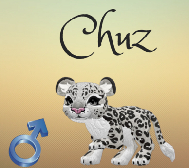 Second Life Marketplace - Chuz %ca32ea61d562 Snowy_Lion_Unborn