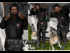 Second Life Marketplace - HTG - DOG SIDE