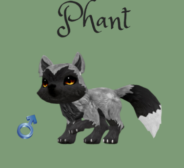 Second Life Marketplace - Kreatures Silva Wolf