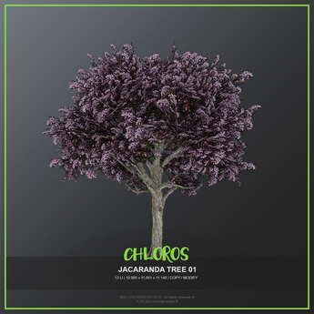 Second Life Marketplace - CHLOROS // Jacaranda tree 01