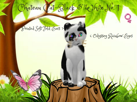 Second Life Marketplace - KittyCatS Box - Chateau Cat - Black & White ...