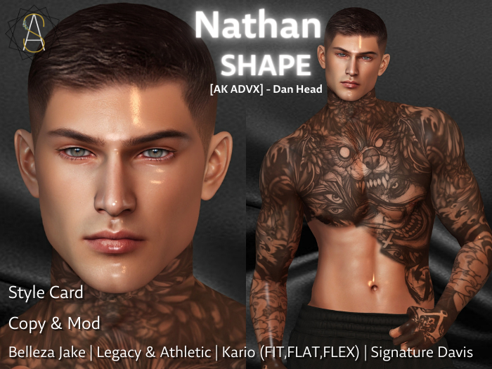 Second Life Marketplace - A.S_Store - Nathan Shape for [AK ADVX] - Dan Head
