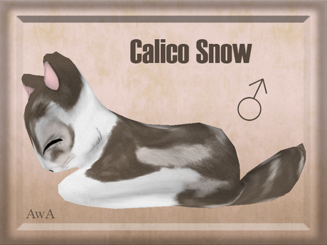 Second Life Marketplace - Stray Cat Stray Cats 261462 Calico Snow