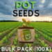 Second Life Marketplace - MyStory Pot Seeds x100