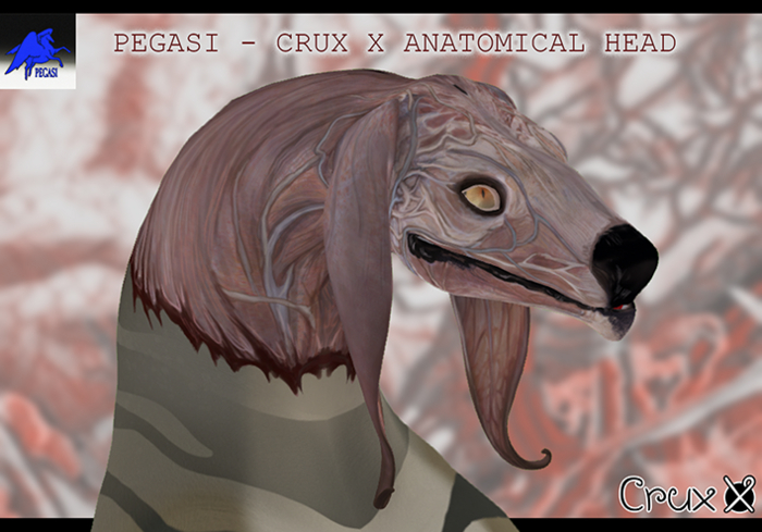 Second Life Marketplace - PEGASI - CRUX X ANATOMICAL HEAD