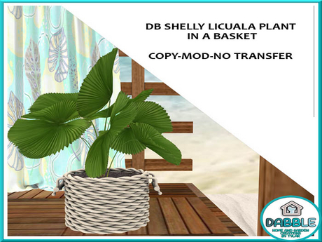 Second Life Marketplace - DB SHELLY LICUALA PLANT IN A BASKET ADD ME