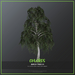 Second Life Marketplace - CHLOROS // Birch tree 01