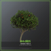 Second Life Marketplace - CHLOROS // Orange tree 01