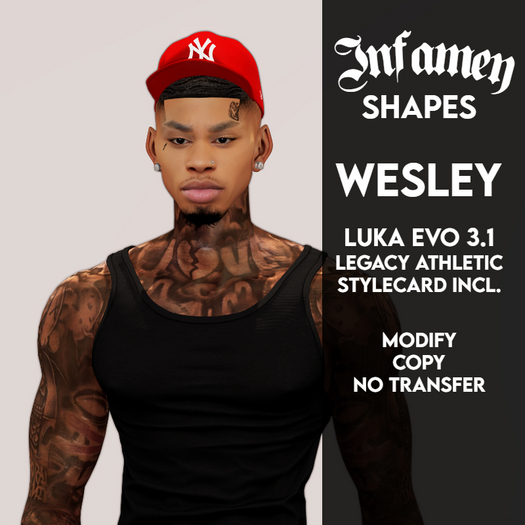 Second Life Marketplace - INFAMEY: WESLEY SHAPE W/ BROW SHAPE & STYLECARD