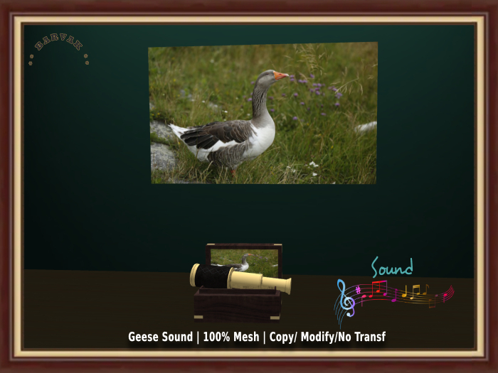 Second Life Marketplace - BARVAK - Geese Sound - Sound - Decoration