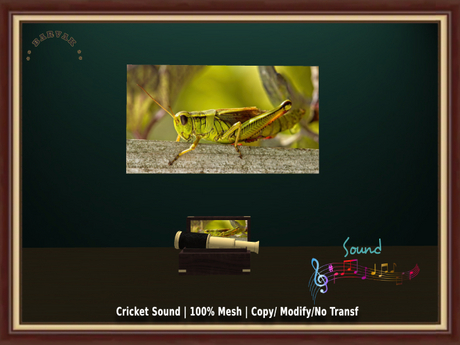 Second Life Marketplace - Cricket Sound - Wear to Unpack