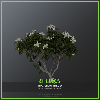 Second Life Marketplace - CHLOROS // Frangipani 01