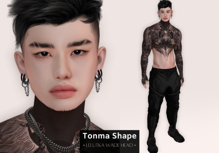 Second Life Marketplace - ⏩ [Stanley] Tonma Shape Wade - Lelutka Wade ...